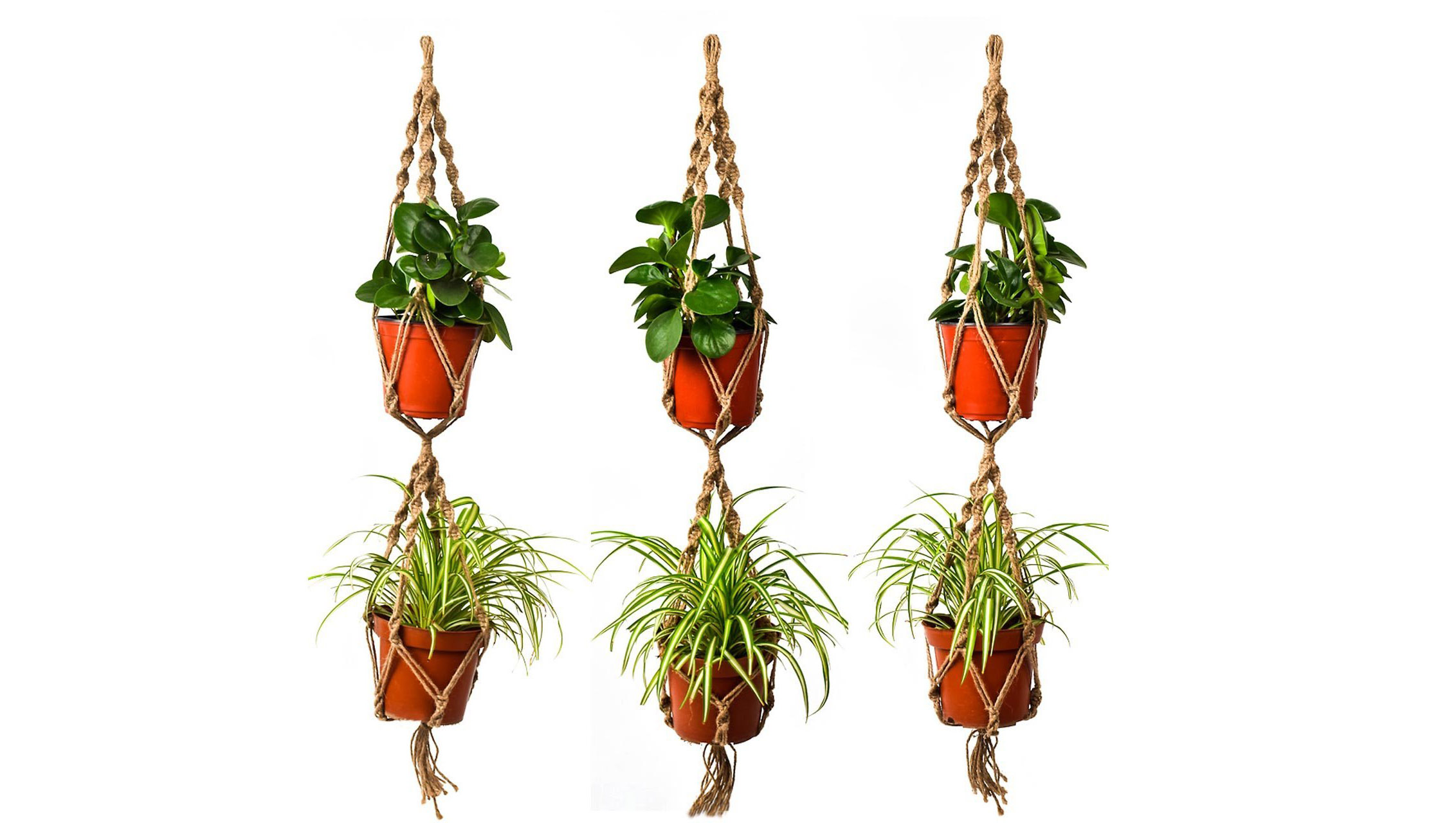 Macetas Colgantes 】 Mejores Precios y Ofertas 2020